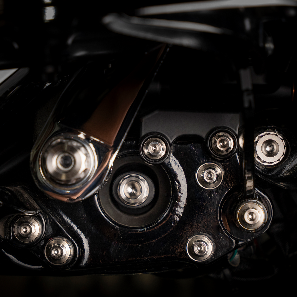 Trask Bitchin' Bolts Titanium Hardware Kit Harley M8 Models – Eastern ...